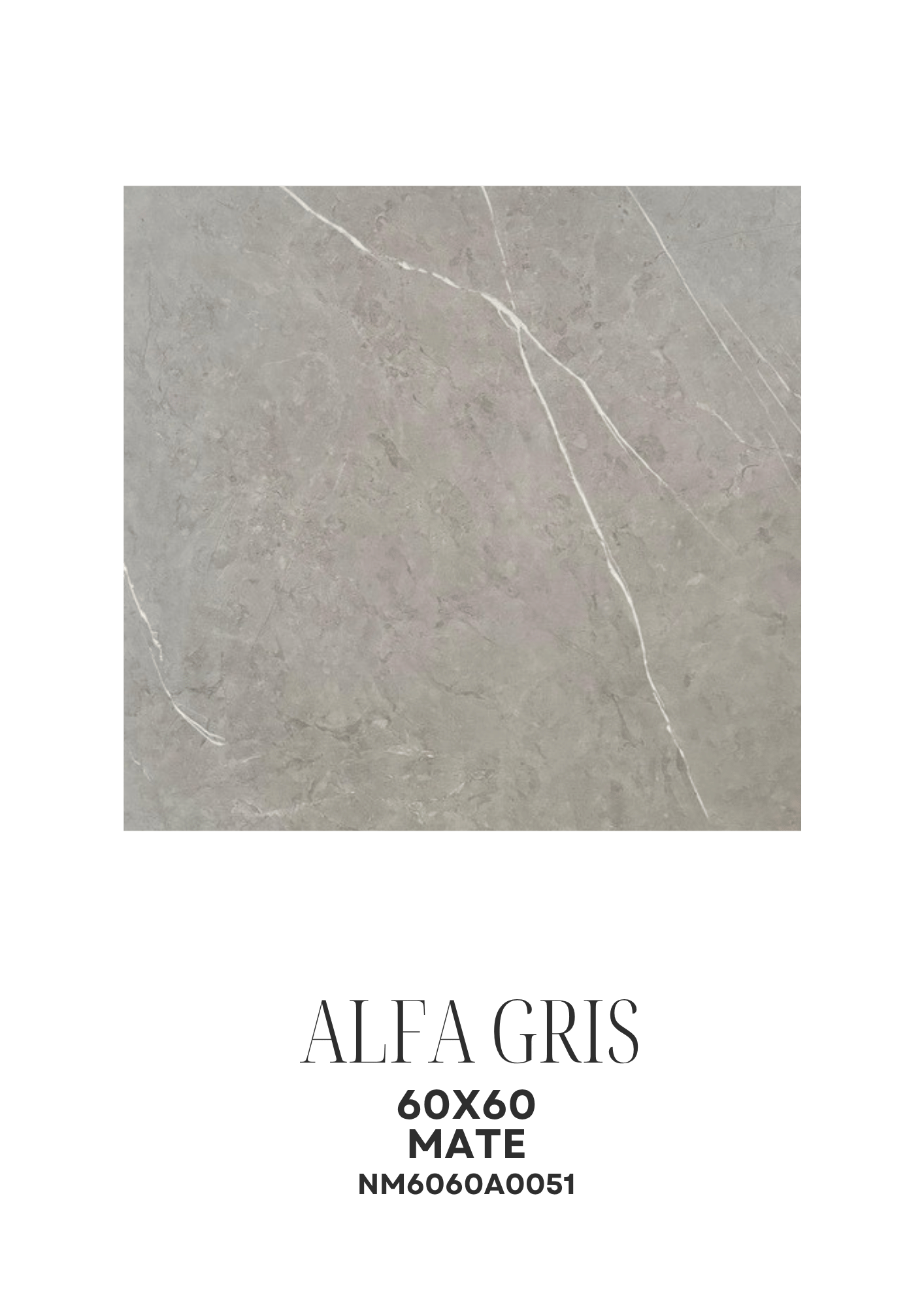 ALFA GRIS 60X60 MATE – Acabados y Diseños D